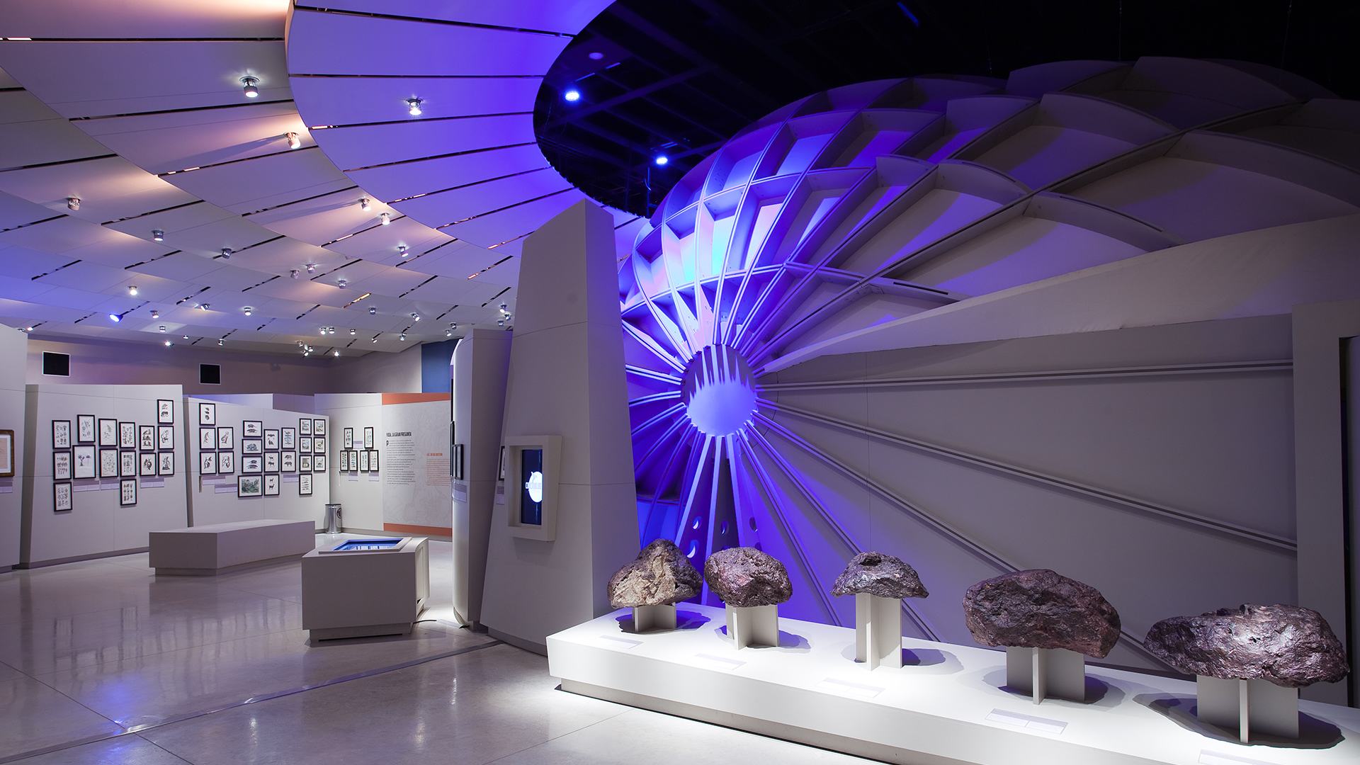 Mayan World Museum of Mérida reviews, photos - Mérida - GayCities Mérida