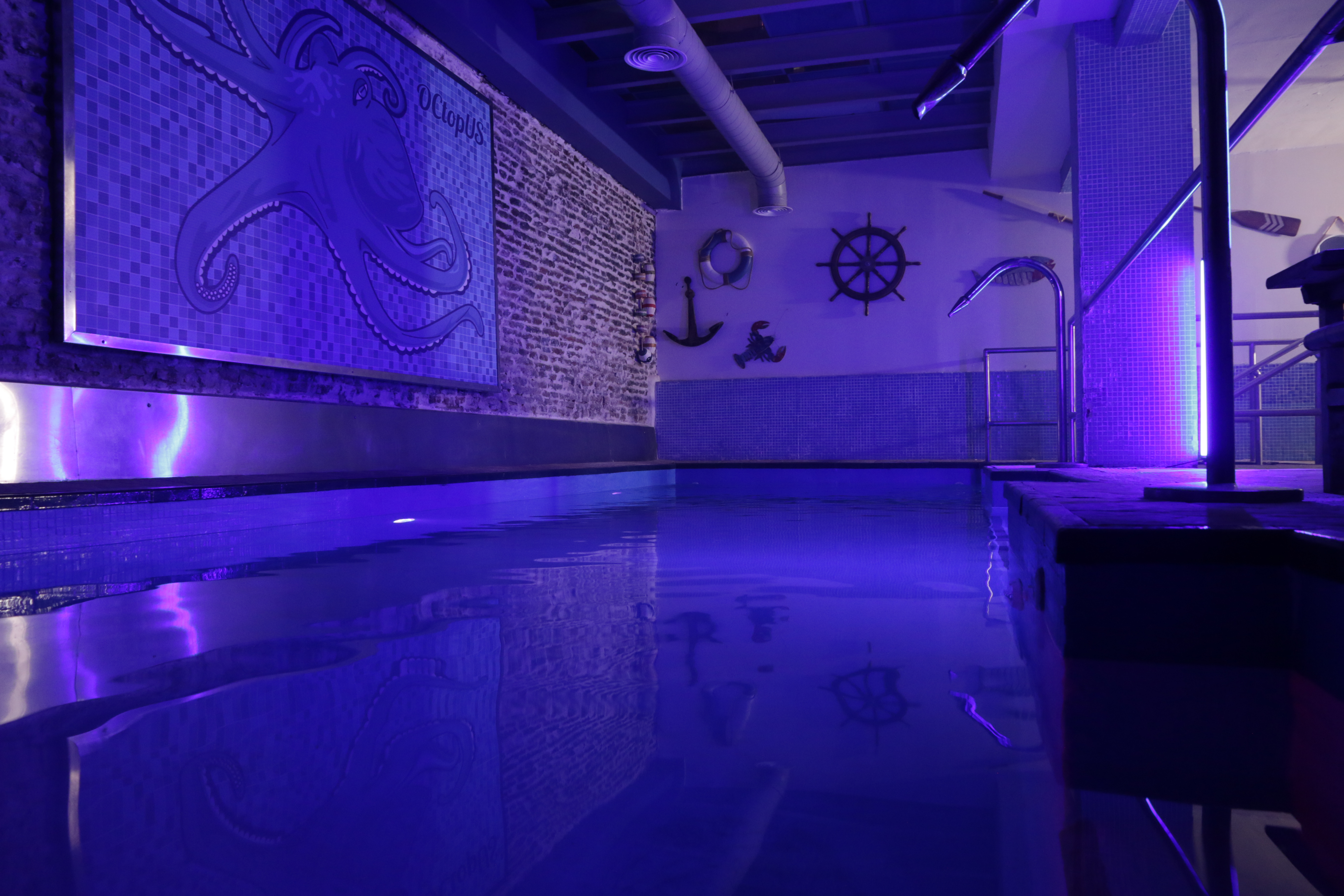 Sauna Octopus reviews, photos - Malasaña - Madrid - GayCities Madrid