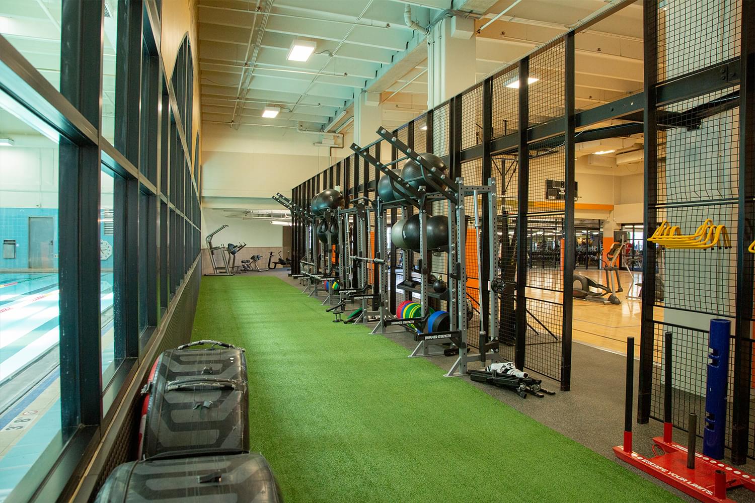 FFC Gold Coast reviews, photos - Gold Coast - Chicago - GayCities Chicago