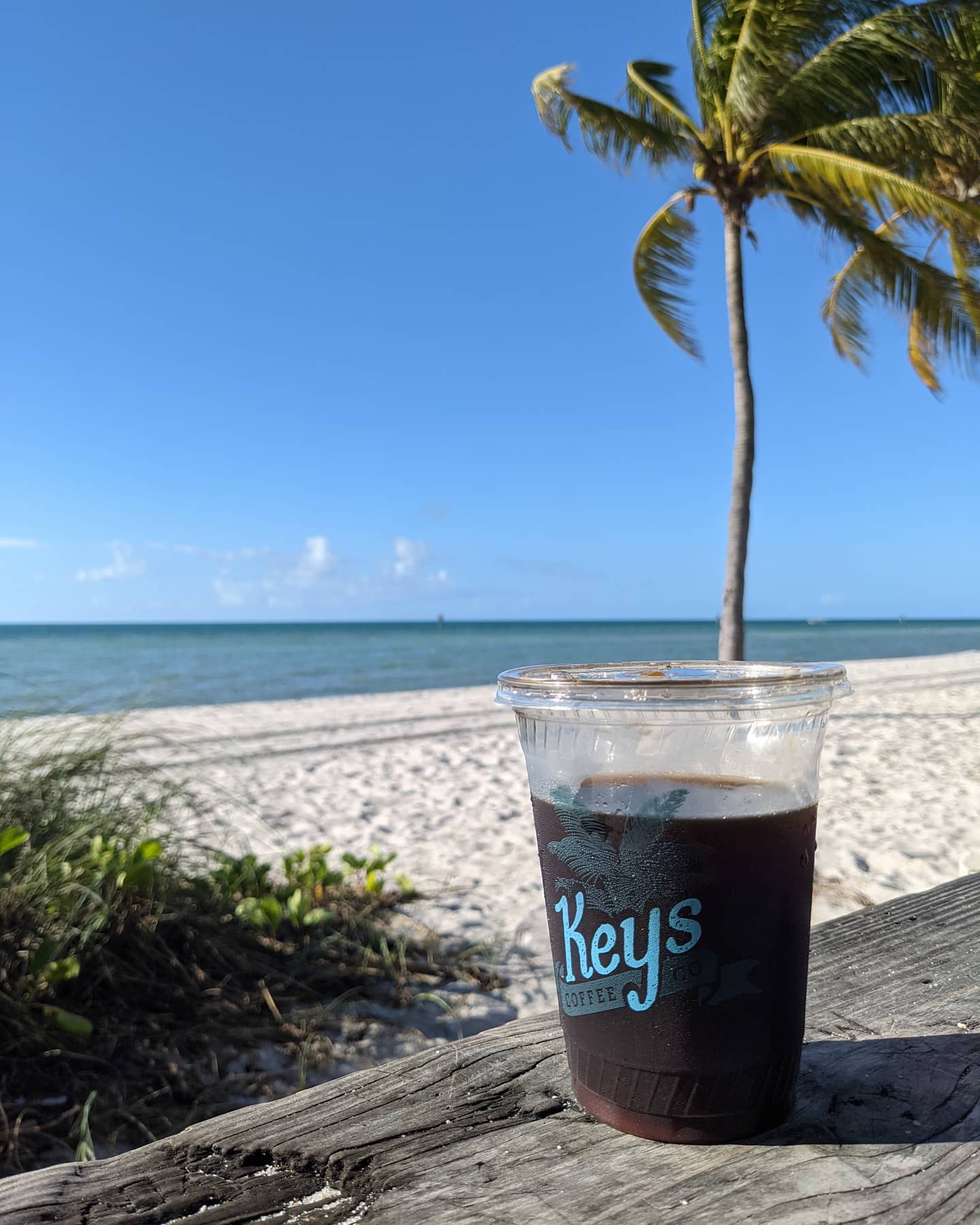 Keys Coffee Co. reviews, photos - Duval Street - Key West - GayCities ...