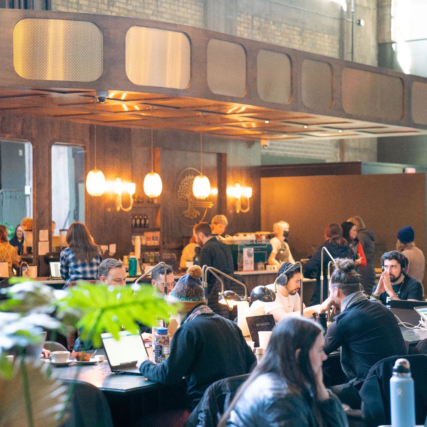 Backstory Coffee Roasters - North Loop reviews, photos - Minneapolis ...